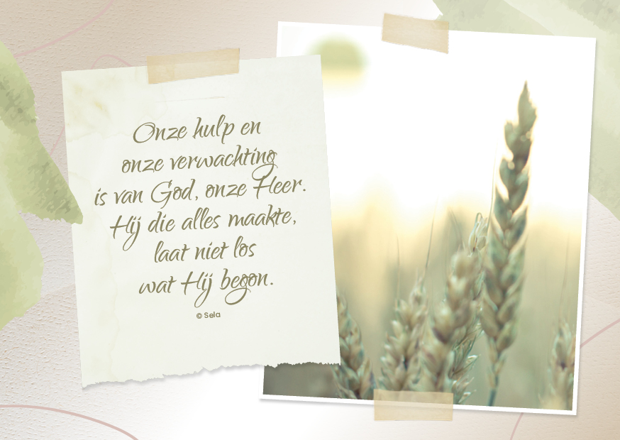 Enkele Kaart Onze hulp - Bemoediging - Baaij Light Cards Webshop