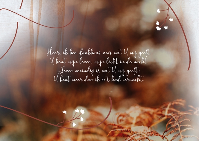 Enkele Kaart Heer, ik ben dankbaar - Bemoediging - Baaij Light Cards We